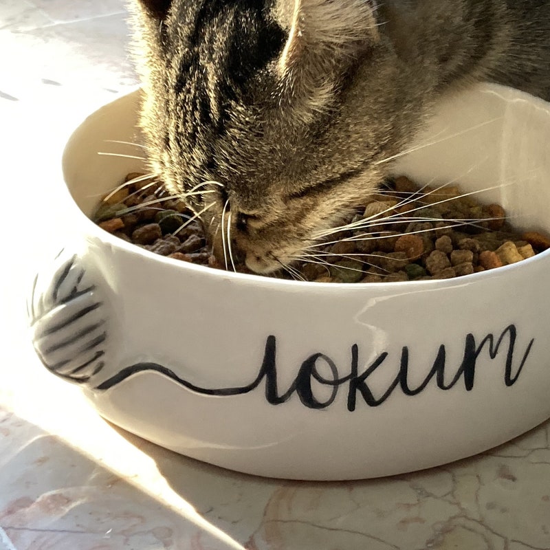 Cat Bowl - Etsy