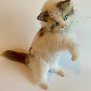 Needle Felted Cat, Felted Animal, Ragdoll, Cat, Kitten - Etsy