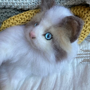 Needle Felted Cat, Felted Animal, Ragdoll, Cat, Kitten - Etsy
