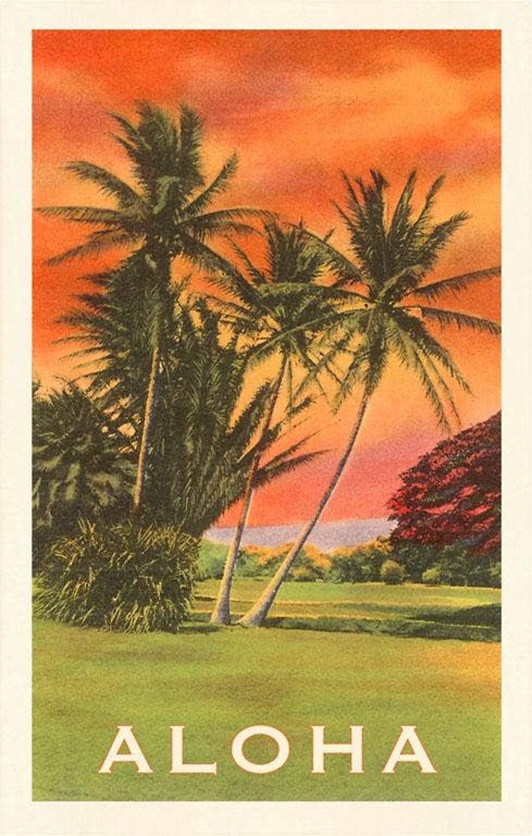Aloha, Palms at Sunset, Hawaii - Vintage Reprinted Image, Postcard - Etsy
