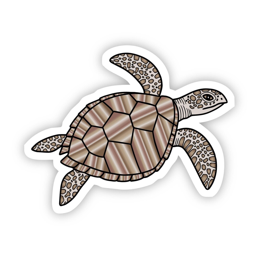 Brown Turtle Aesthetic Sticker - Etsy