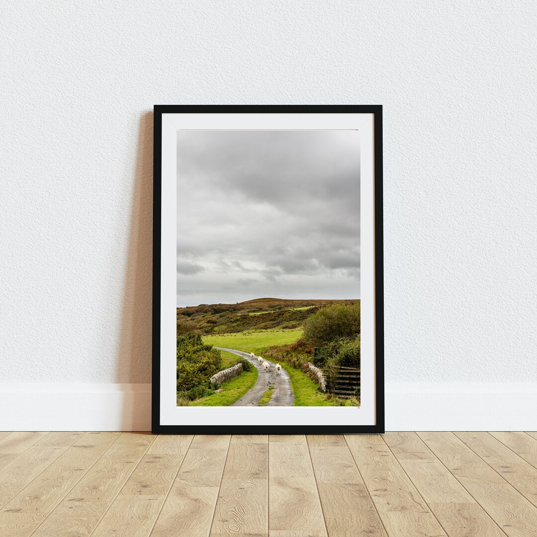 Islay Scotland Landscape Photo Countryside Path With Sheep Digital ...