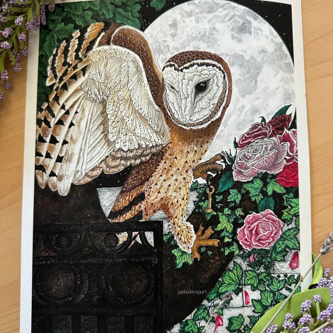 Romantic Barn Owl, Roses and Moon Fine Art Print - Etsy