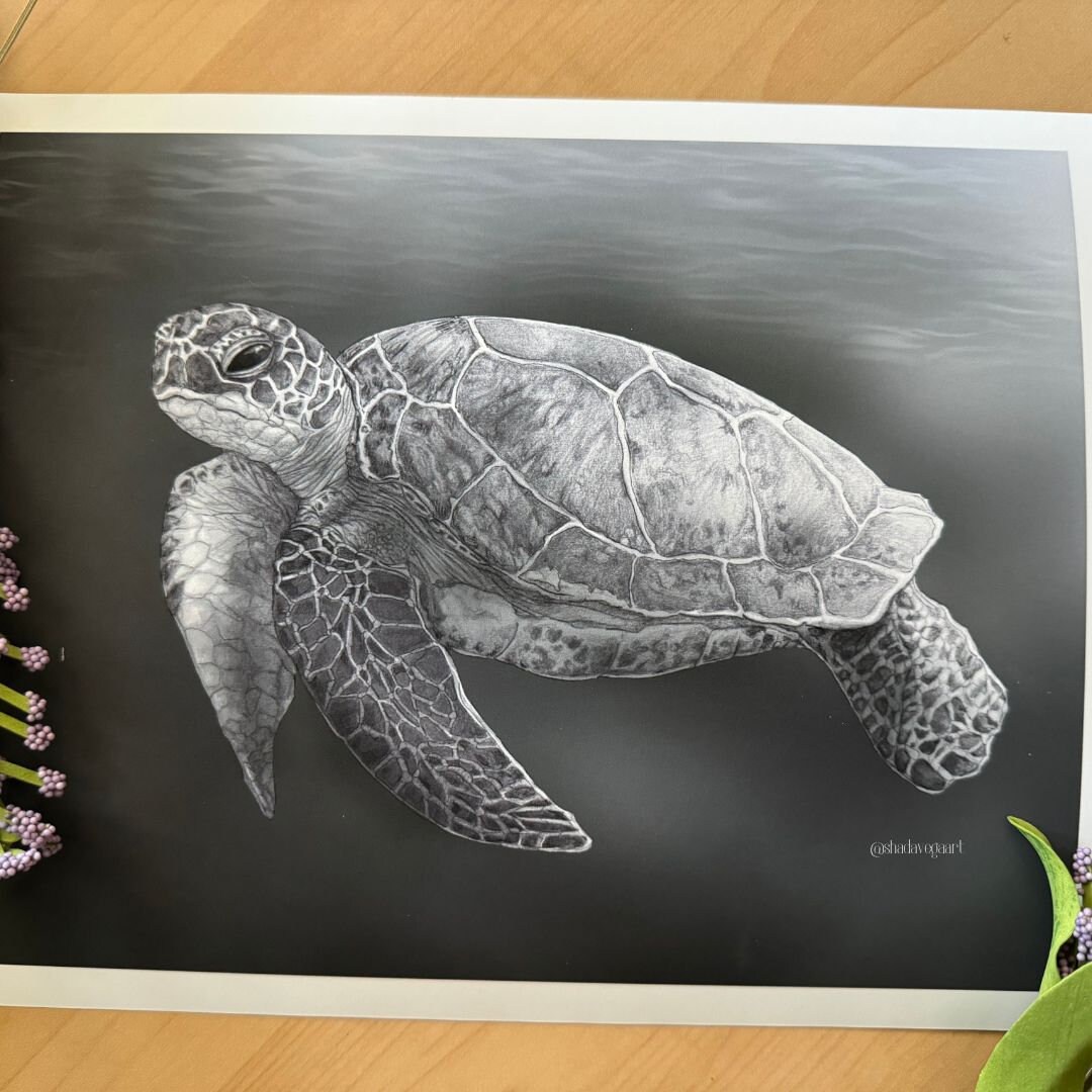 Sea Turtle Fine Art/handmade Turtle Artwork/sea Life Watercolor ...