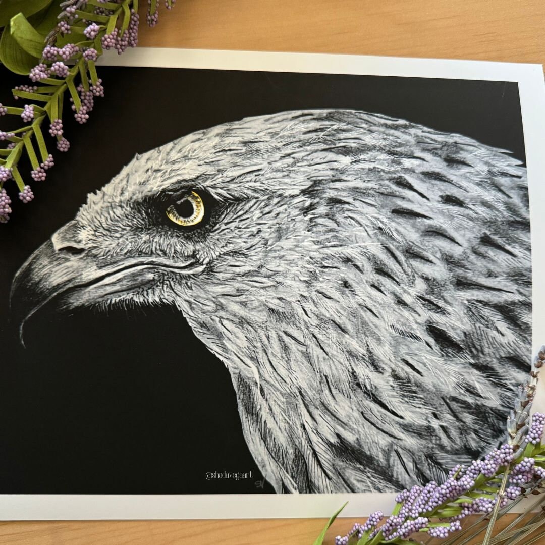 Realistic Bird of Prey Fine Art Print - Etsy