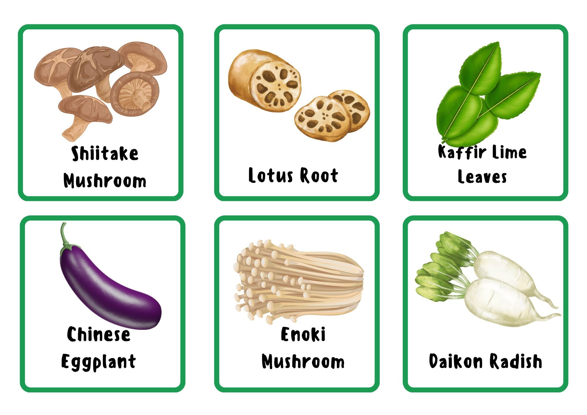Printable Asian Vegetable Flash Cards. Shiitake Mushroom,lotus Root ...