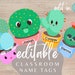 Editable Classroom Name Tags | Cactus Tags for Cubby Nametag | Spring ...