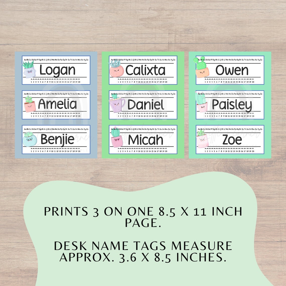 Editable Classroom Name Tags for Desk | Succulent Nametags Fall ...
