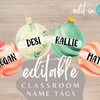 Student Name Tags, Classroom Labels, Editable Cubby Labels Student Desk ...