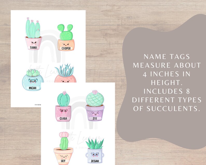 Editable Succulent Classroom Name Tags: Cubby & Coat Hanger Labels ...