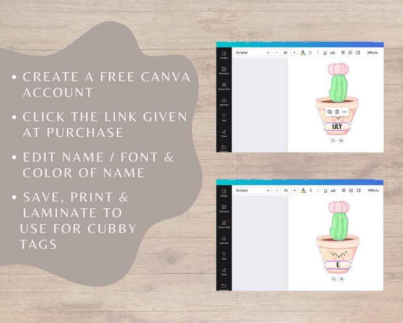 Editable Succulent Classroom Name Tags: Cubby & Coat Hanger Labels ...