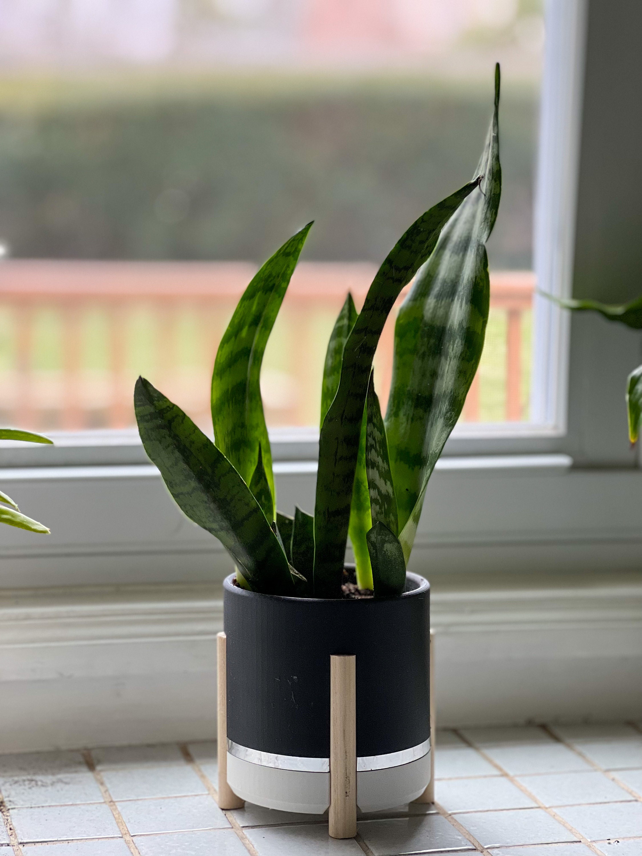 3D Printed Planter, Pastel Planter, Indoor Planter, Plant Decor - Etsy