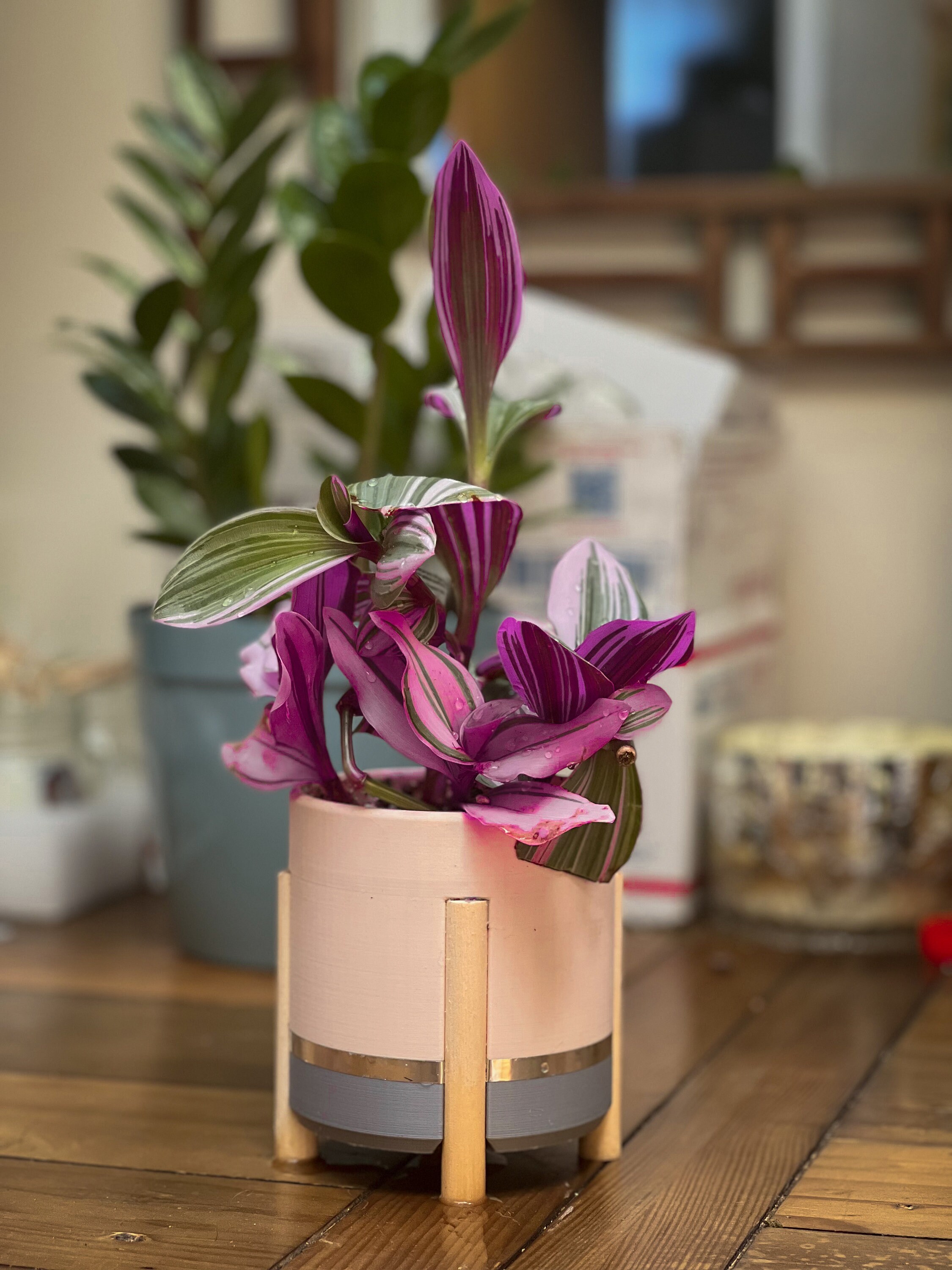 3D Printed Planter, Pastel Planter, Indoor Planter, Plant Decor - Etsy