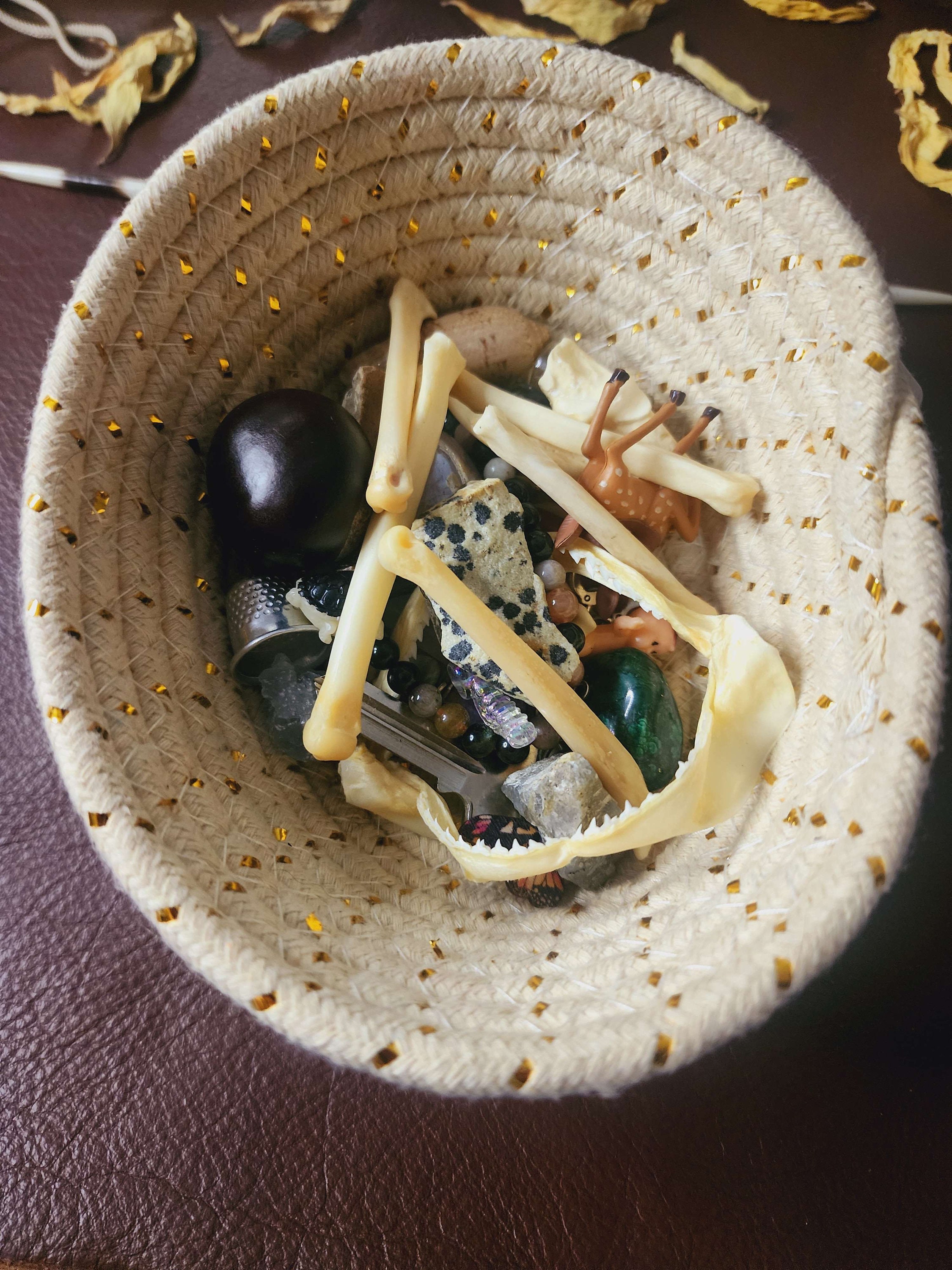 Bone Throw Reading, Bone Throw, Bone Throwing, Bone Divination ...