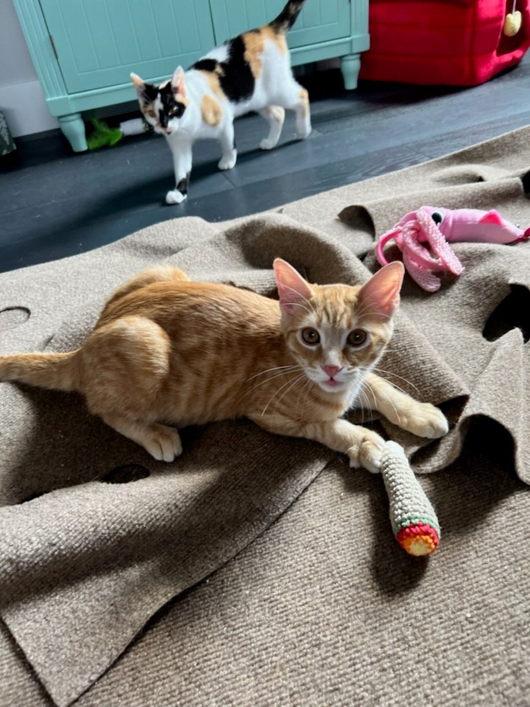 Crocheted Cat Toy Blunt Joint With Catnip - Etsy