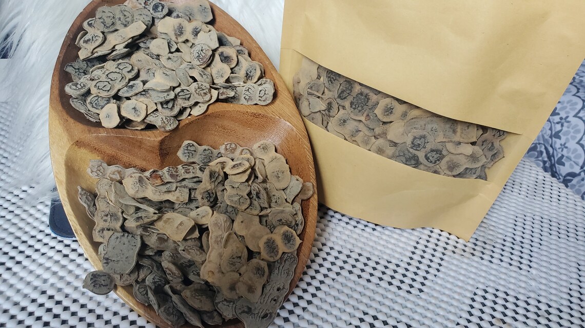 Nep Nep Seeds. - Etsy