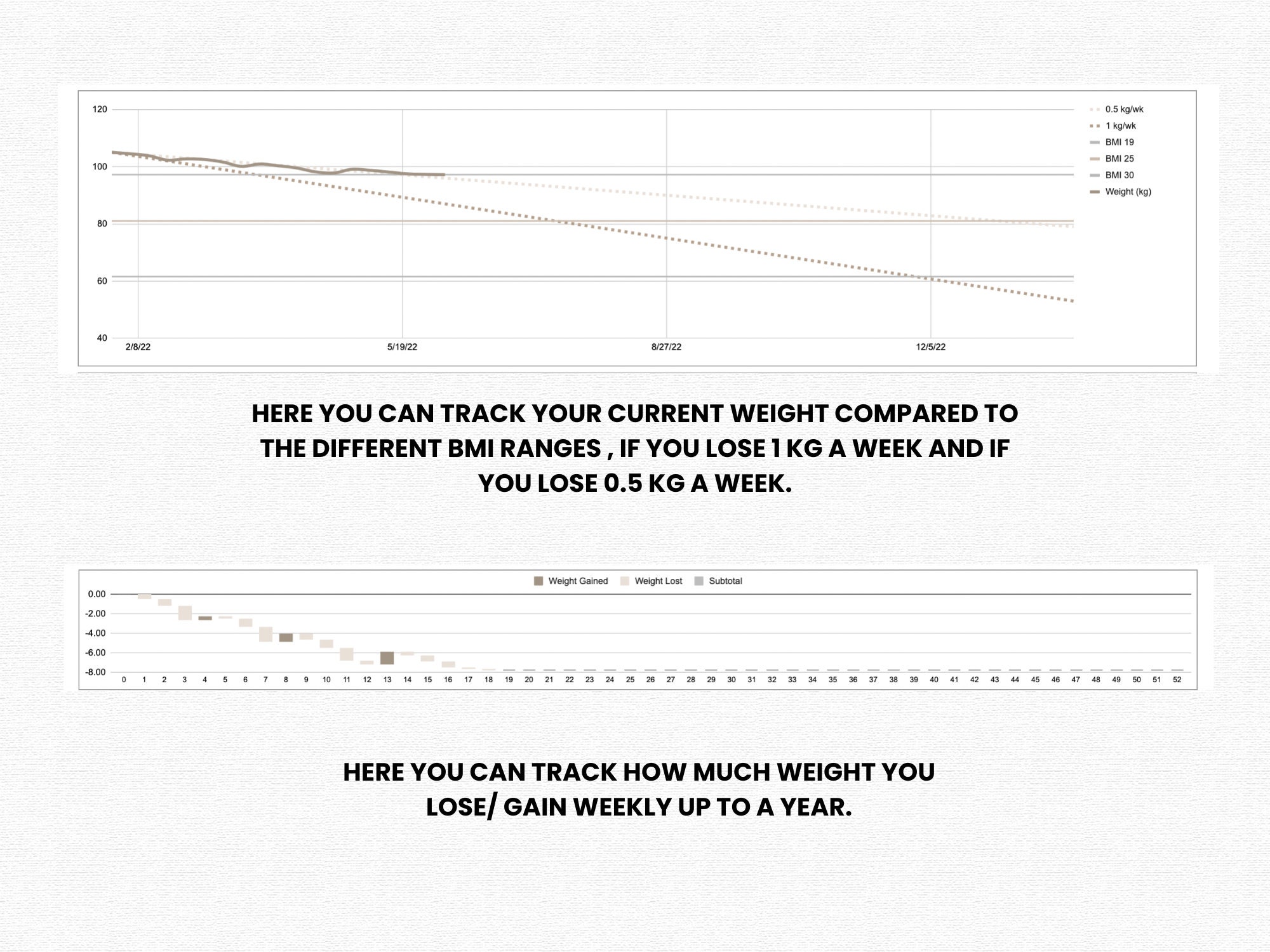 Weight Loss Tracker Spreadsheet Weight Tracker Google Sheet Digital ...