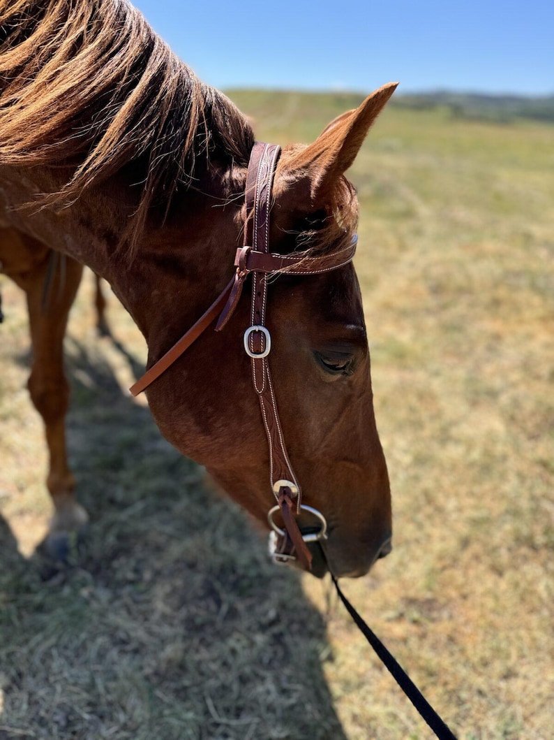 Cowpuncher Browband Headstall - Western Headstall - Western Bridle ...