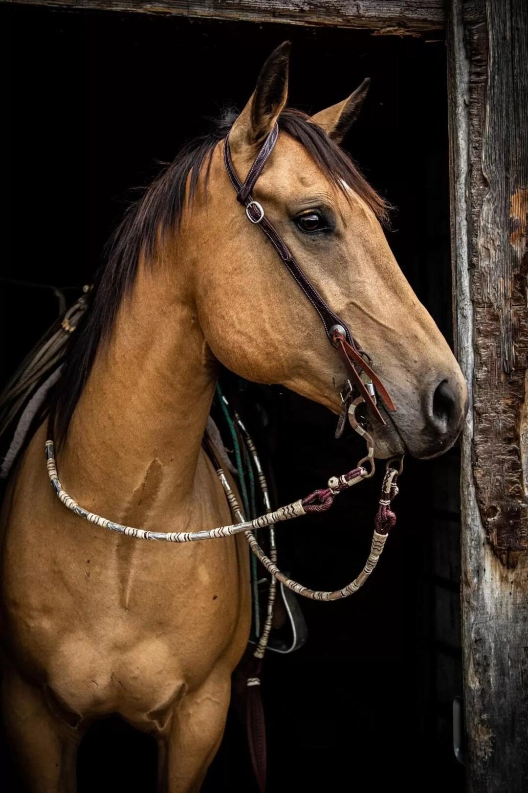 Cowpuncher Sliding One Ear Headstall With Tooling - Western Headstall ...