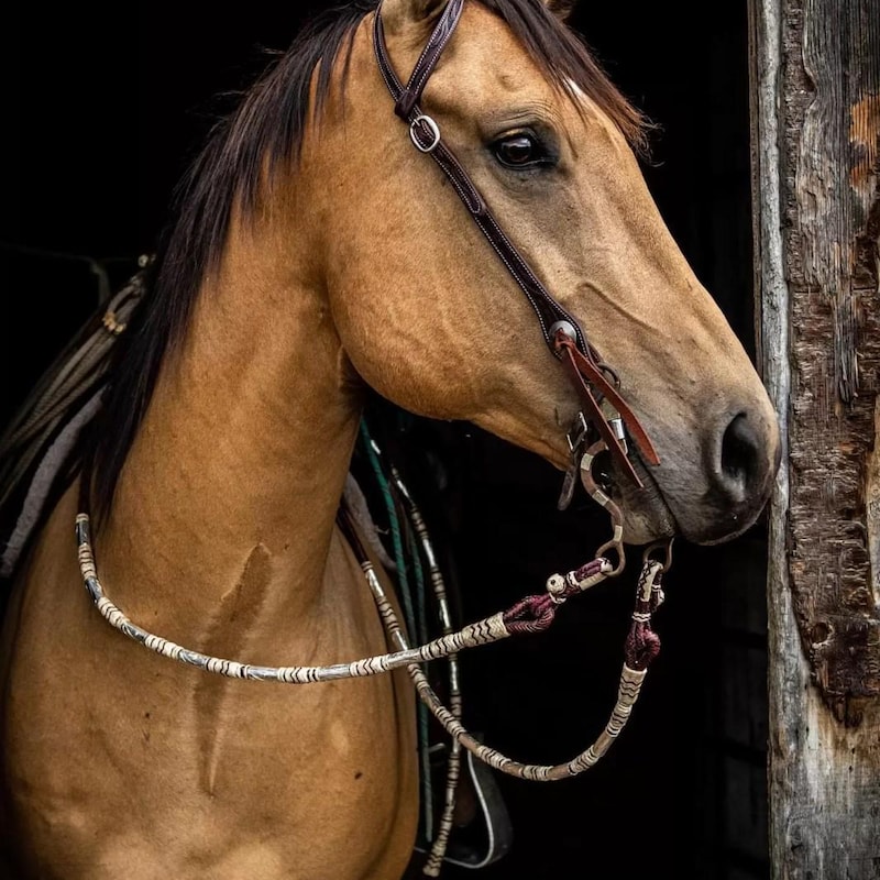 Antique Horse Bridle - Etsy