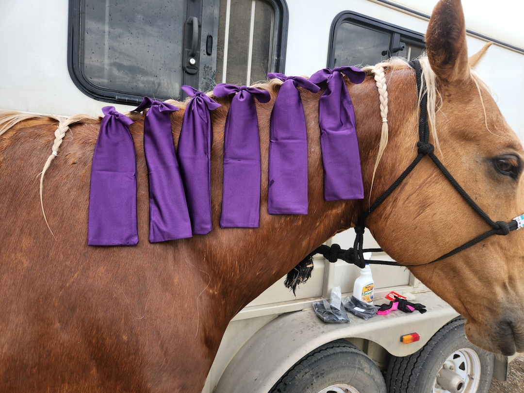 Heavy Duty Horse Mane Bags – Package of 6- Mane Socks for Long, Healthy ...