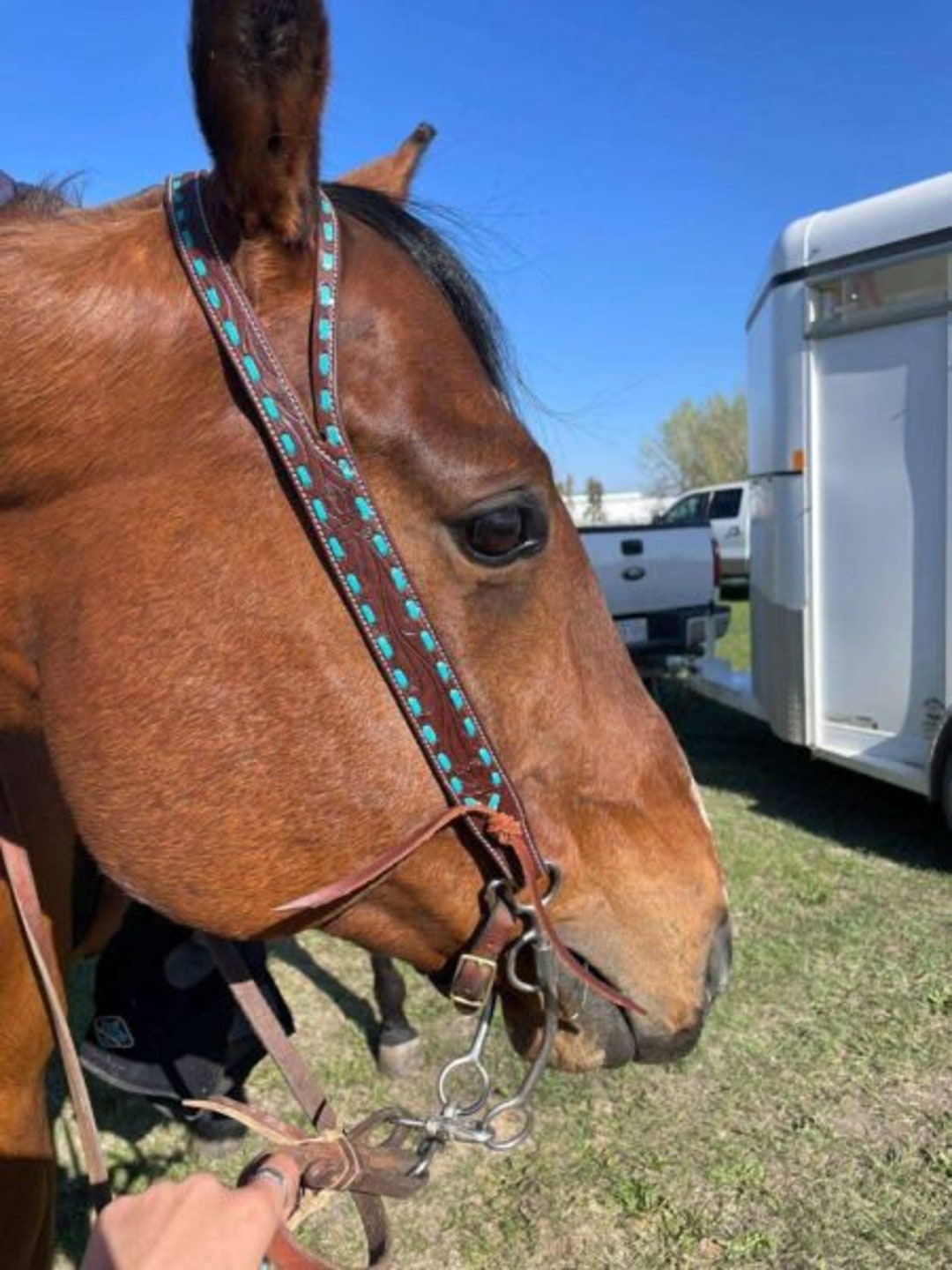 Turquoise Buckstitch Split Ear Headstall Western Horse Bridle Horse ...
