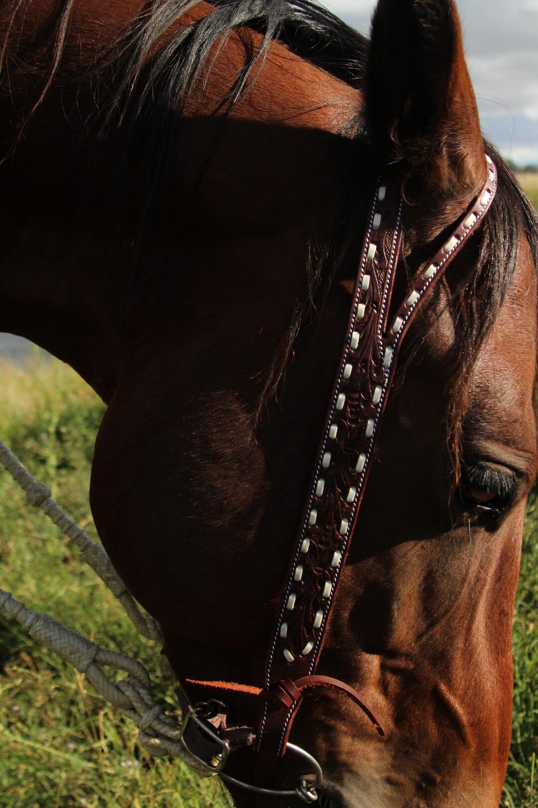 Wrangler Roughout Split Ear Headstall- White Buckstitch Leather Bridle ...