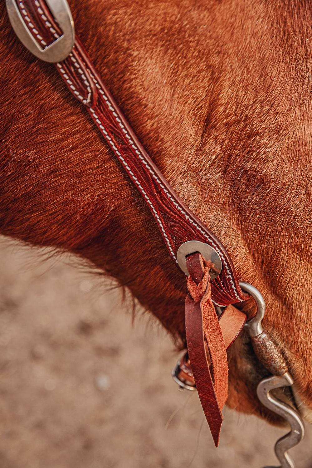 Cowpuncher Browband Headstall - Western Headstall - Western Bridle ...