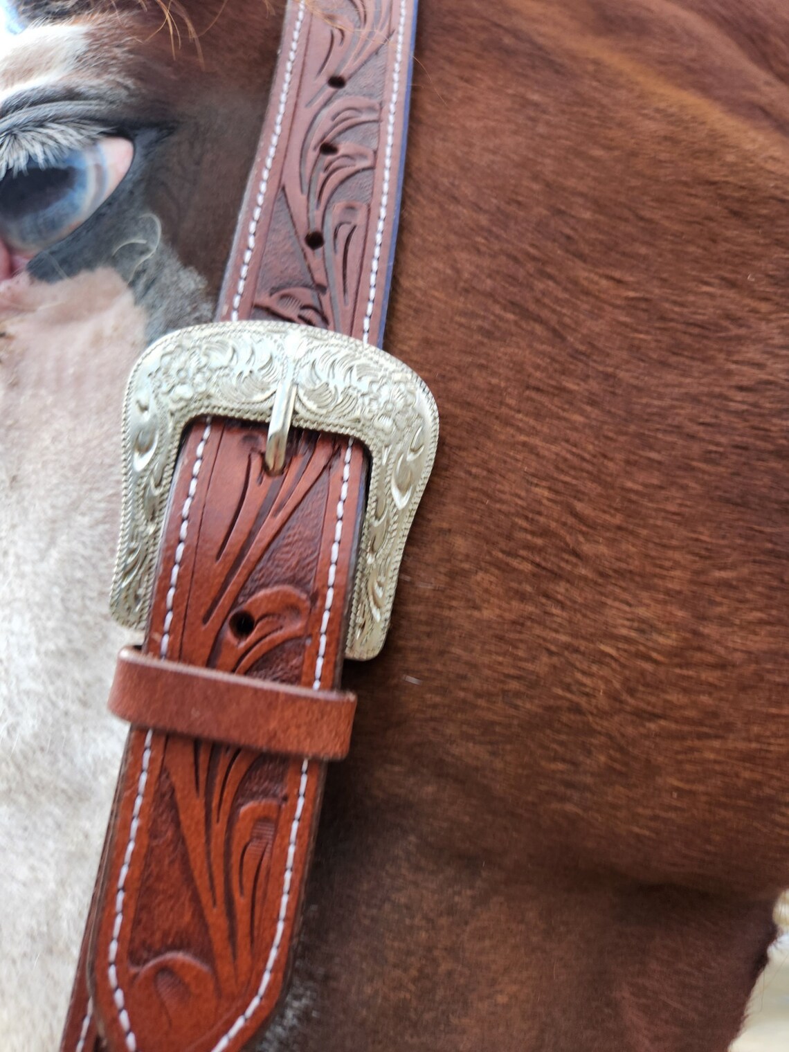 Belt Style Split Ear Headstall With Tooling - Etsy