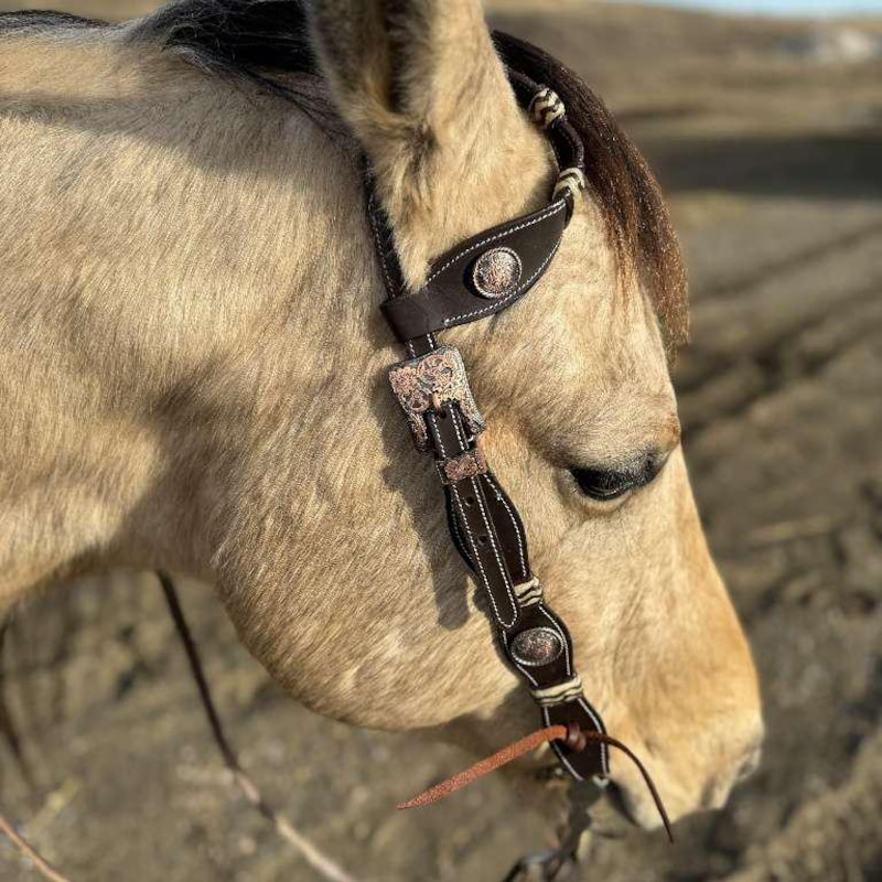 One Ear Bridle - Etsy