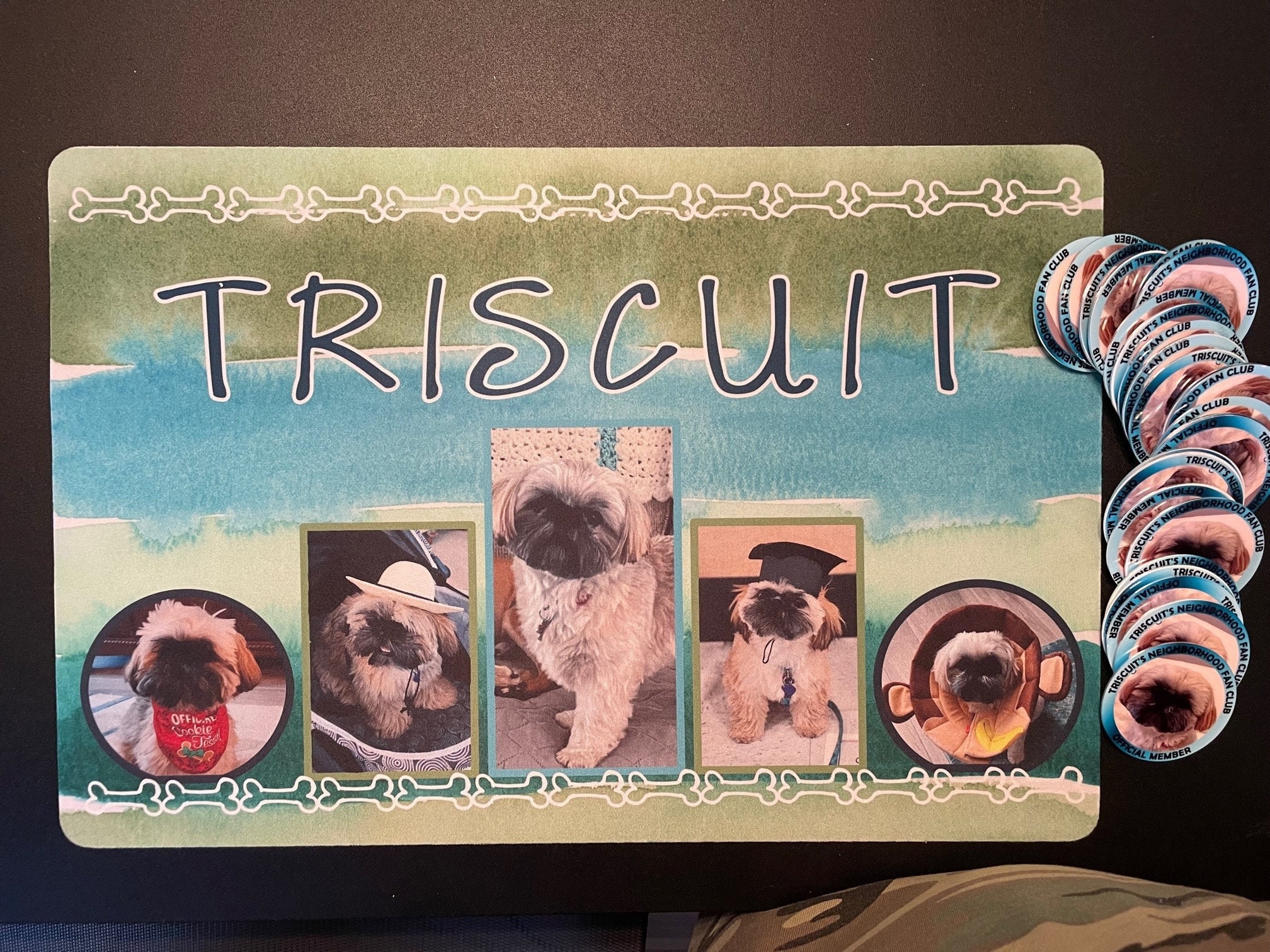 Personalized Dog or Cat Bowl Dinner Mat, Dye Sublimated Pet Photo Dish ...