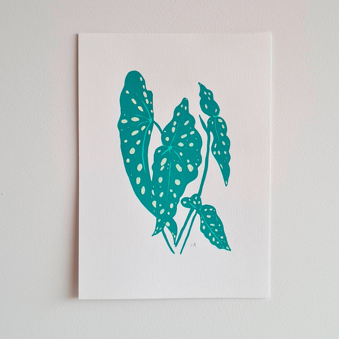 Handmade Begonia Maculata Posca Art, Original Acrylic Painting, Plant ...