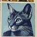 Abyssinian 3D Printed Poster limited to 100 Prints hueforge - Etsy