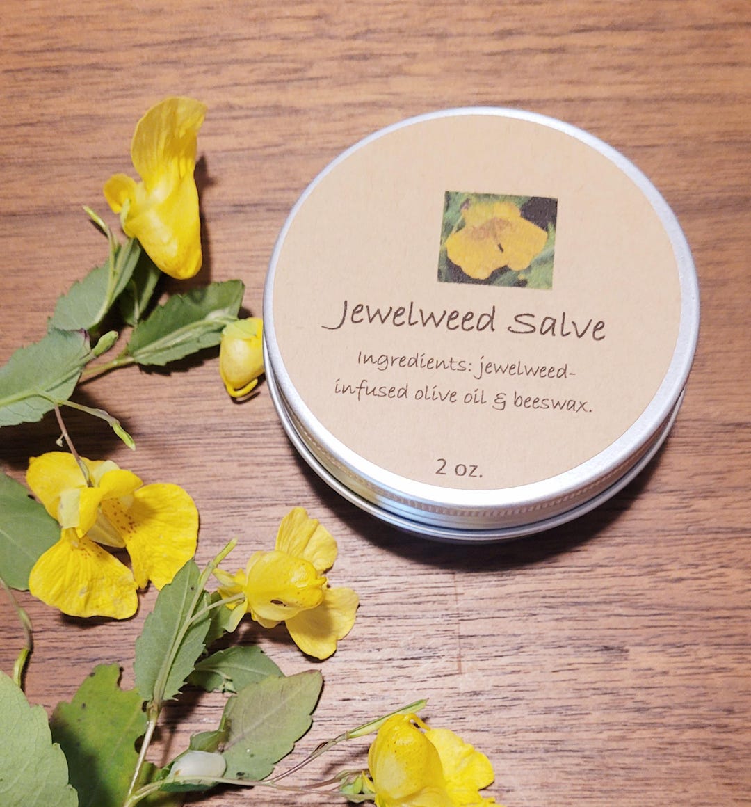 Jewelweed Salve Olive Oil Poison Ivy Bee Stings - Etsy