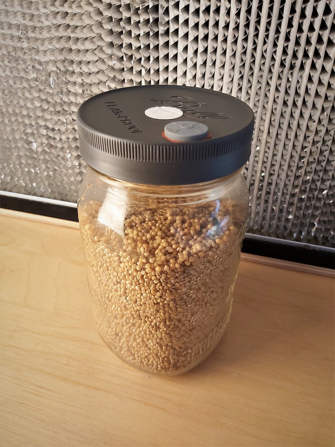 Sterile Mushroom Grain Jar - 1lb Millet or Wheat Quart - Self Healing ...