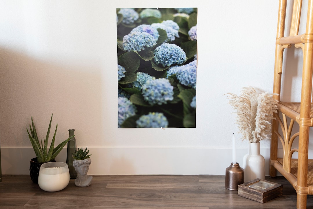 Hydrangeas - Photo Print - Etsy