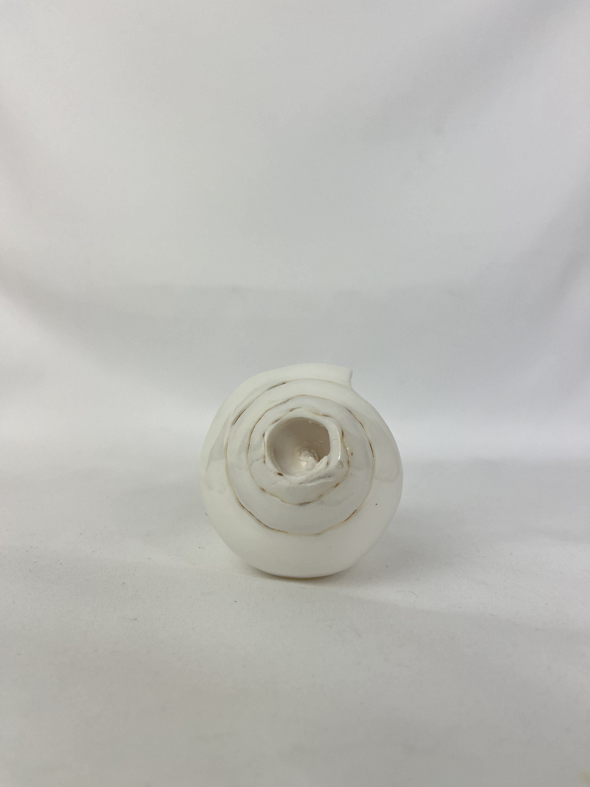 Natural White Puja Blowing Shankh Conch Shell Hindu Religion Pooja Use ...