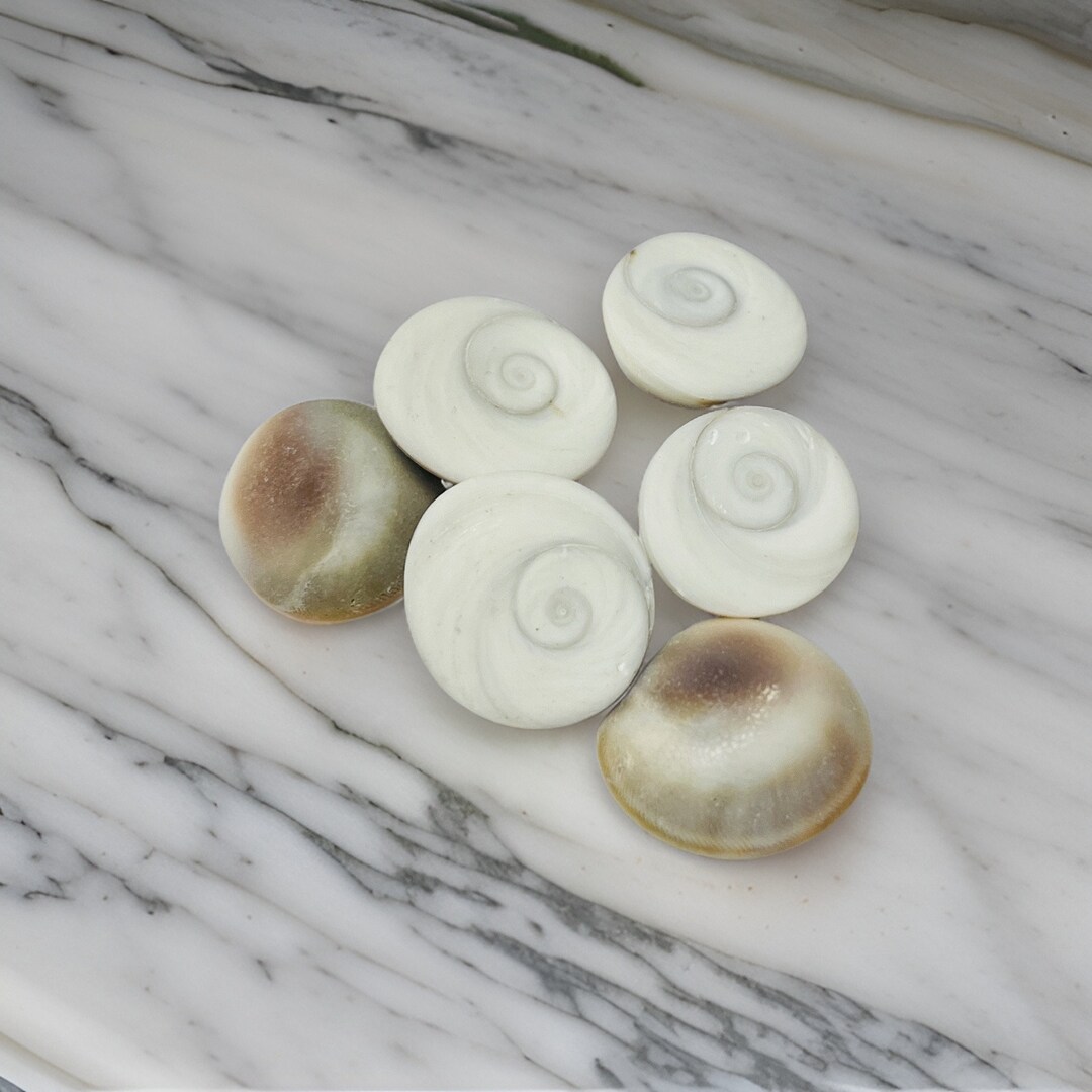 Gomti Chakra for Wealth, Health & Success(pack of 5) - Etsy