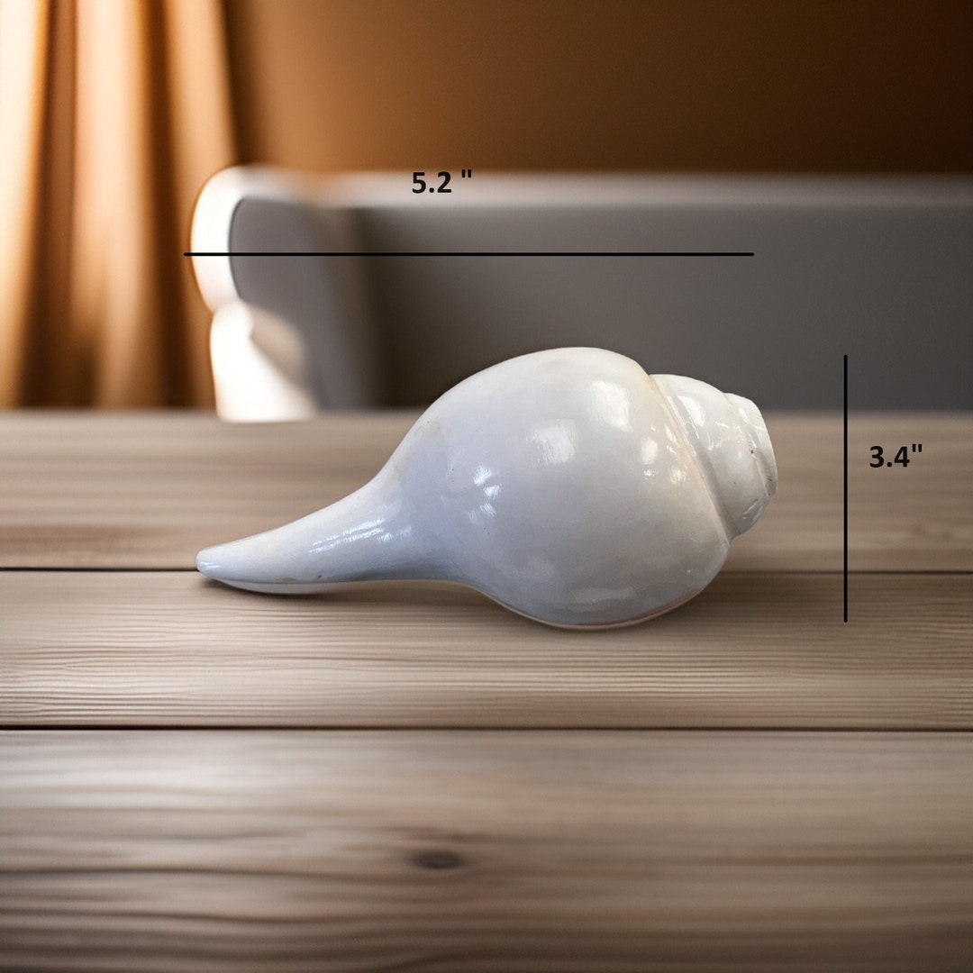 Natural White Puja Blowing Shankh Conch Shell Hindu Religion Pooja Use ...