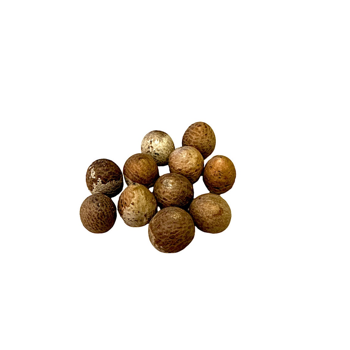 Small Supari/betel Pavitra Pooja Nuts/whole Areca Nut 11pc - Etsy