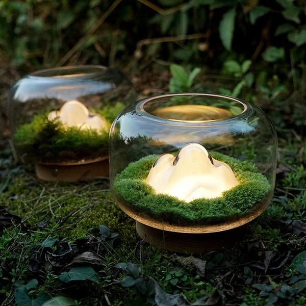 Desktop Terrarium - Etsy