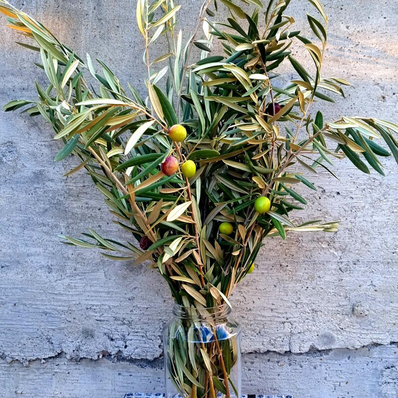 Olive Wreath - Etsy