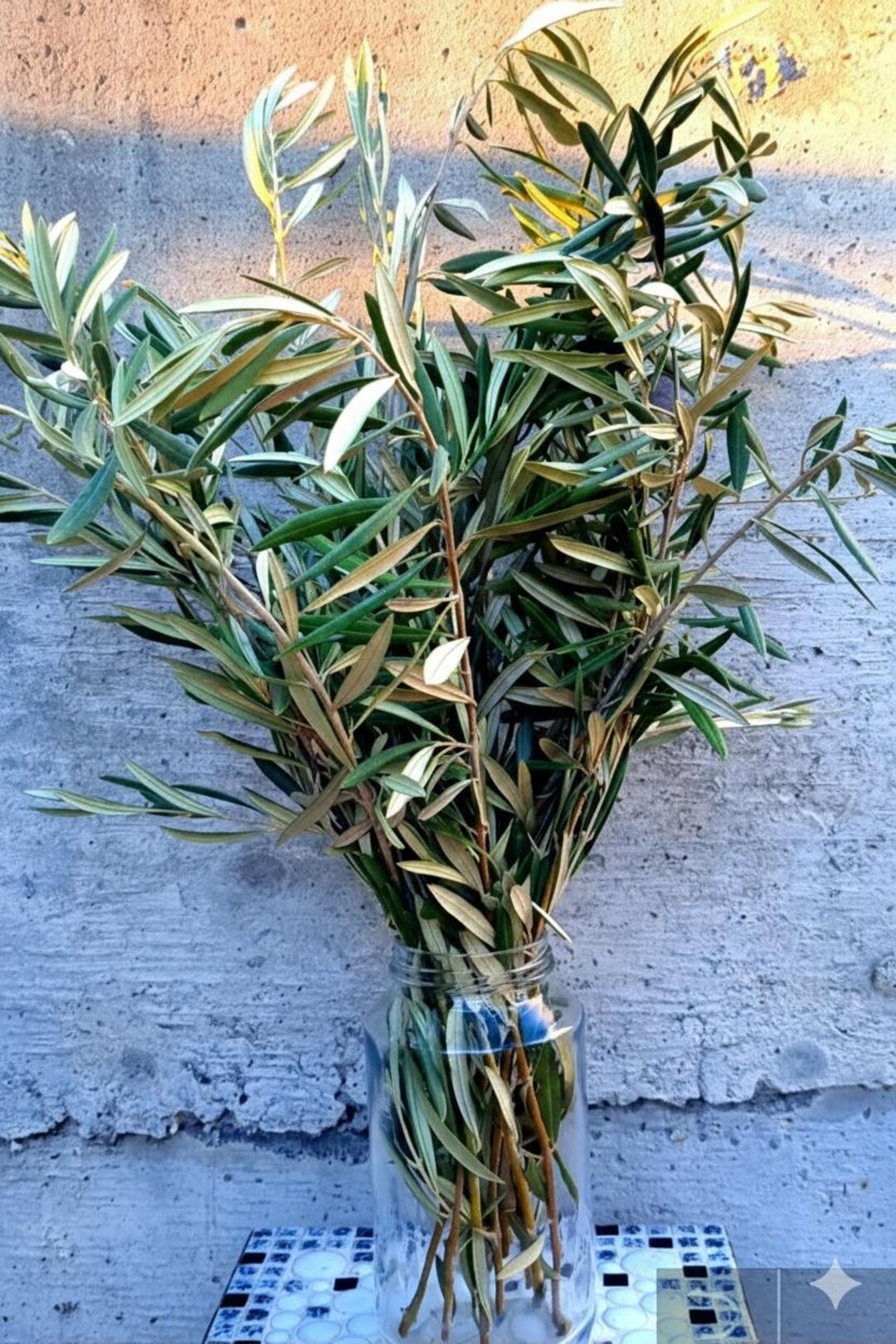 Fresh Olive Branches Natural Seasonal Decor - Etsy