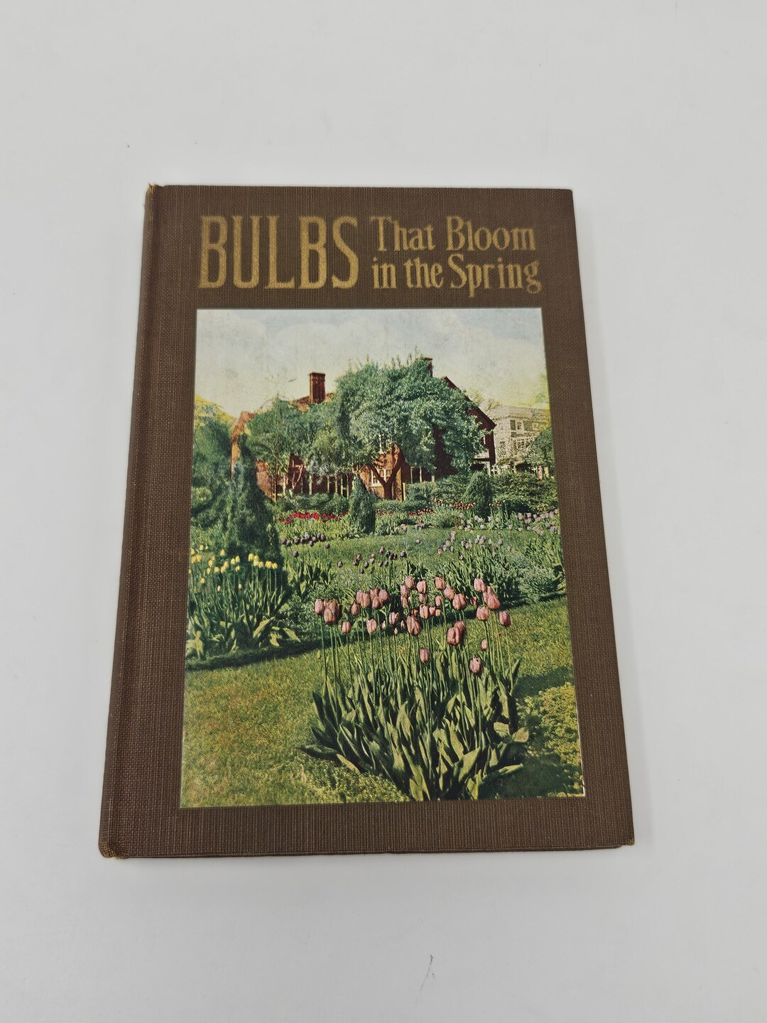 1926 Bulbs That Bloom in the Spring Book by TA Weston - Etsy