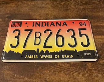 1994 License Plate - Etsy