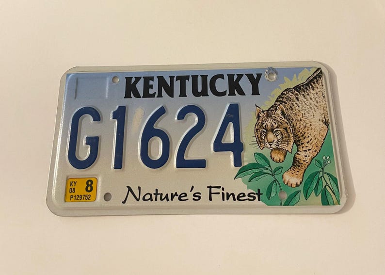 Kentucky Bobcat Specialty License Plate G1624 - Etsy