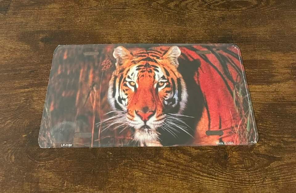 Beautiful Bengal Tiger Booster License Plate Where Are You at Tiger Joe ...