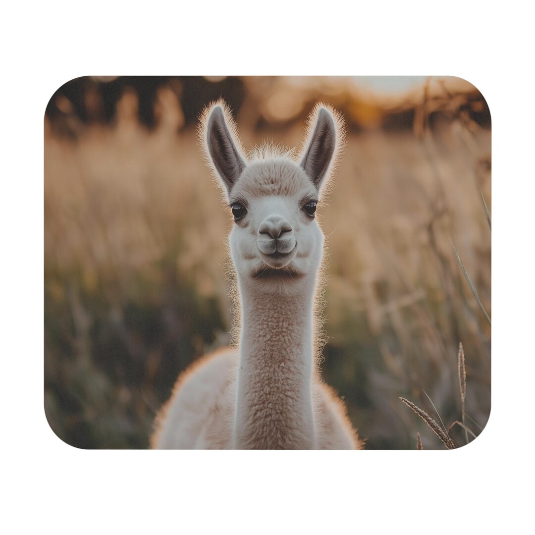 Llama Mouse Pad, Cute Alpaca Animal Office Desk Mat, Fun Llama Lover ...