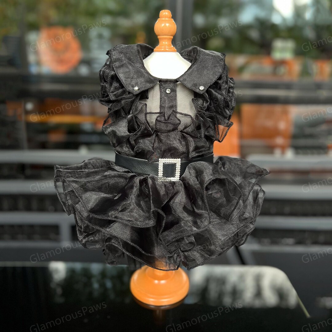 Wednesday Inspired Pet Costume Halloween Cosplay, Gothic Black Puffy ...