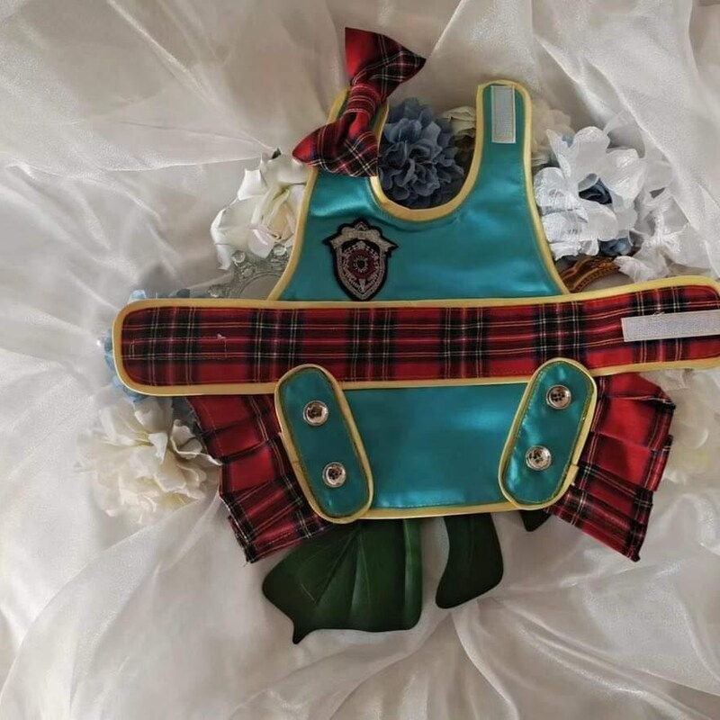 Dog Kilt - Etsy